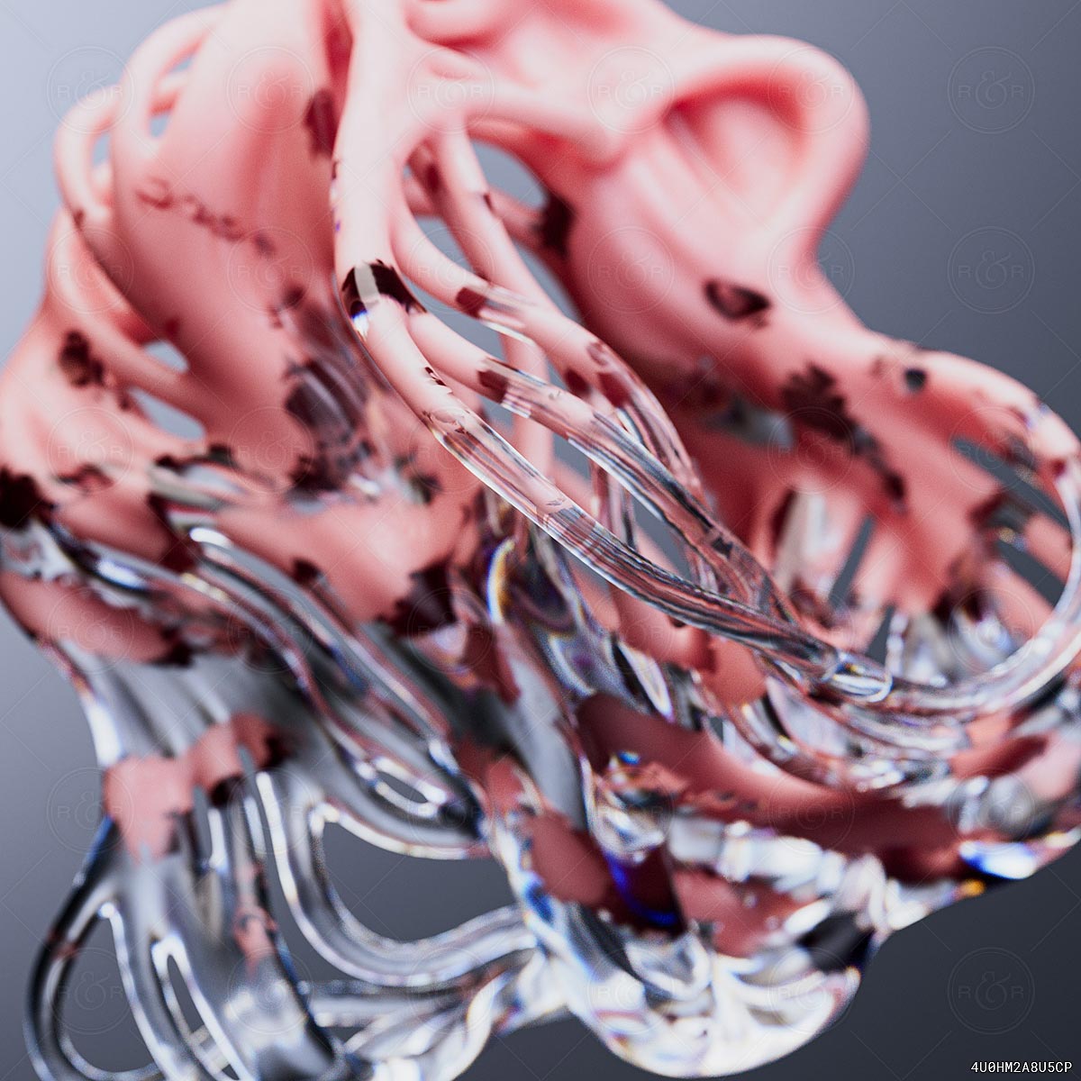 Banding Issues – Raw & Rendered