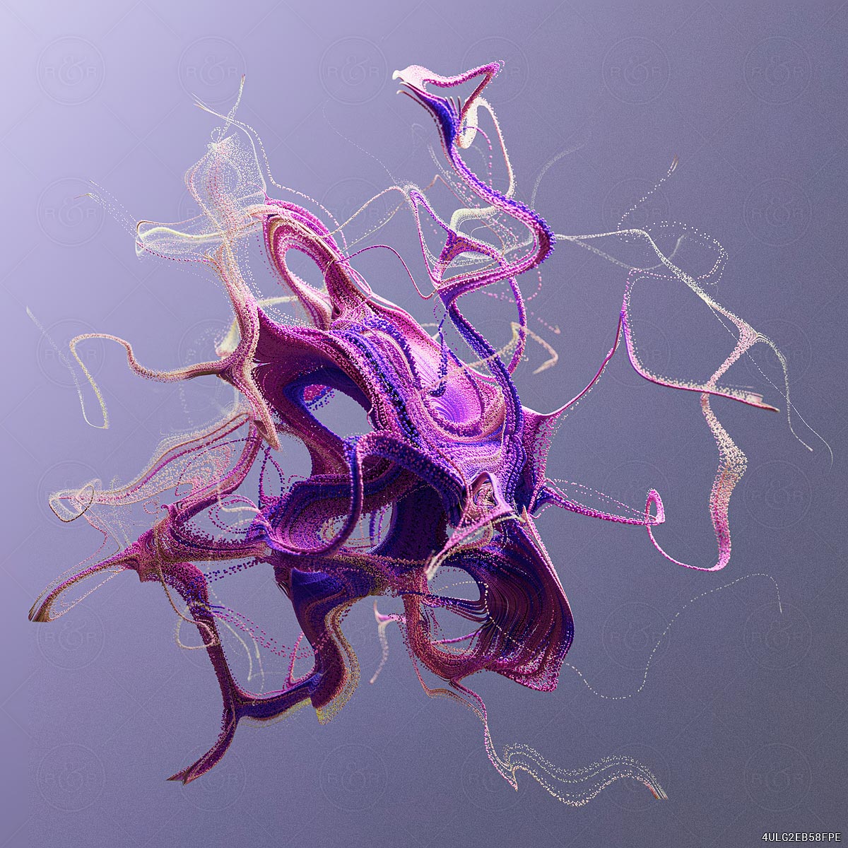 All Images – Raw & Rendered