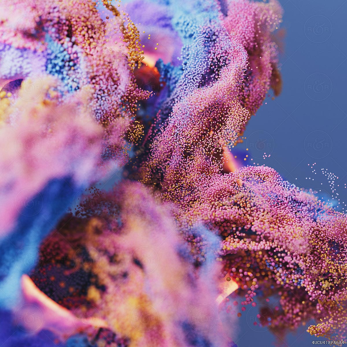 All Images – Raw & Rendered